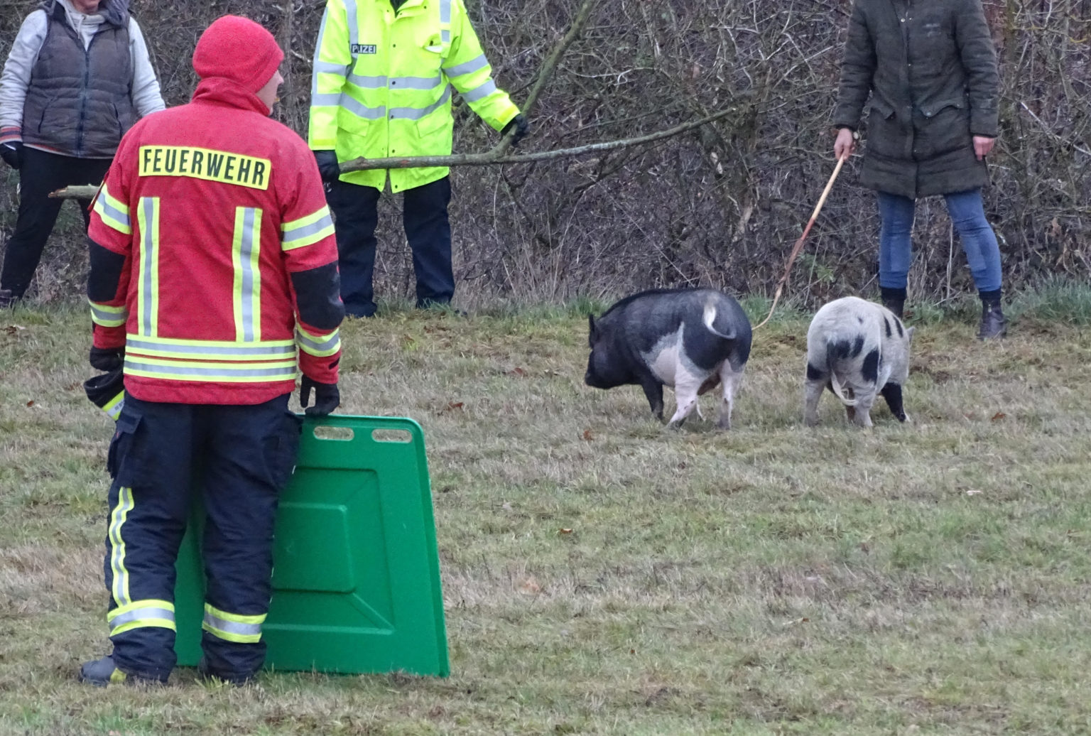 Tierischer Einsatz bei Sahrendorf - Feuerwehr Samtgemeinde Hanstedt